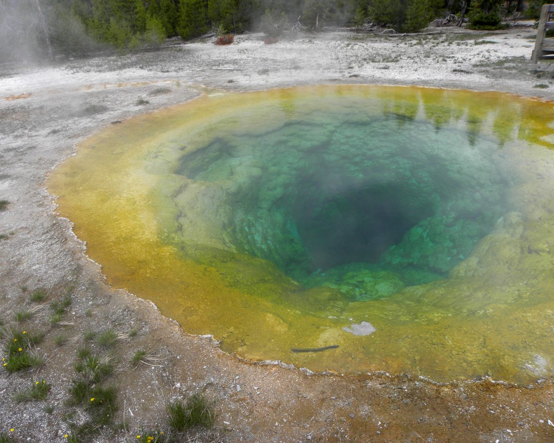 Best time to visit Yellowstone National Park | My Wildlife Life