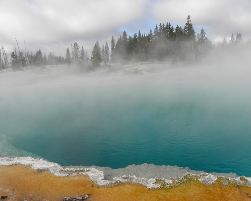 Best time to visit Yellowstone National Park | My Wildlife Life